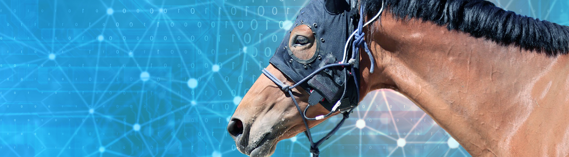 Ultra-Mobile EEG Solution for Animals | ANT Neuro Academy
